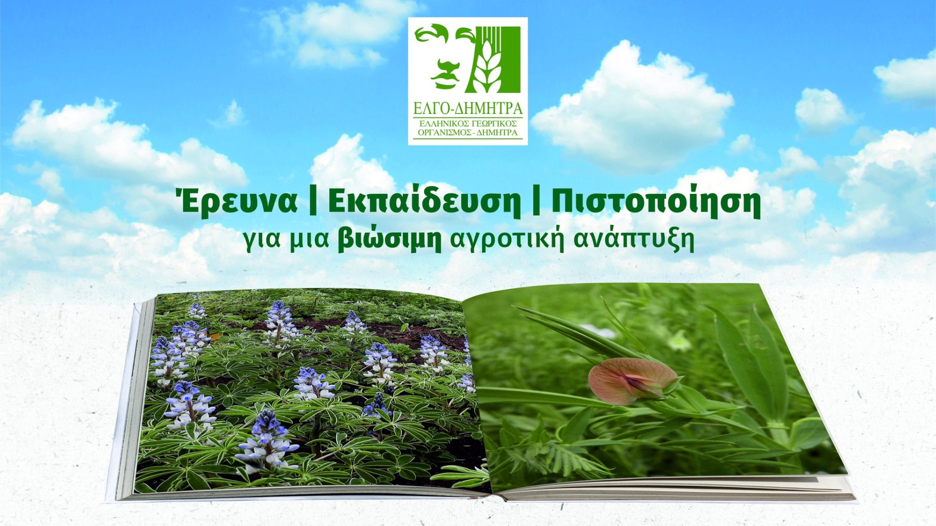 ΕΛΓΟ-ΔΗΜΗΤΡΑ: Ξεκινούν τα προγράμματα αγροτικής κατάρτισης - Meatplace